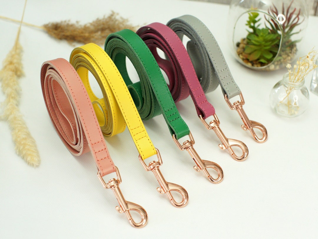 Custom Dog Leashes - 7 Different Colors, Personalized Leather Dog Leash ...