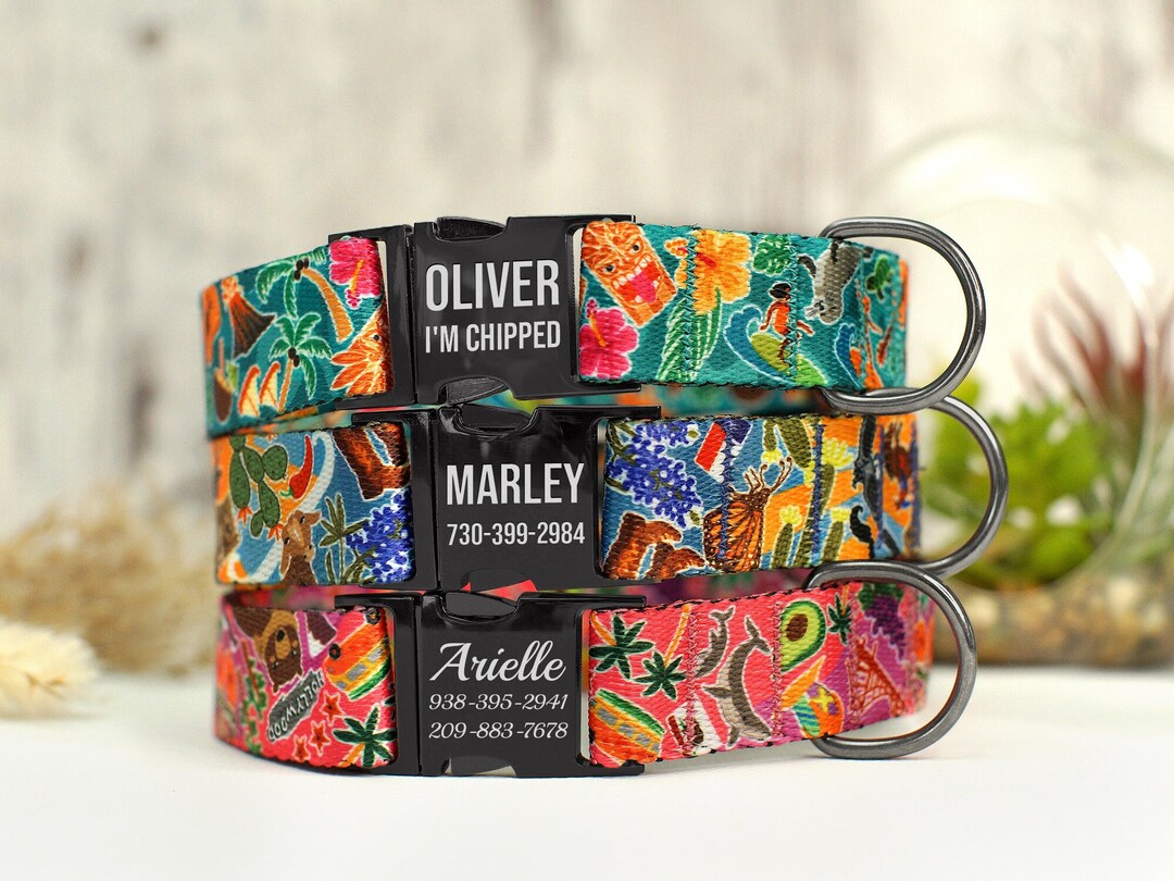 Personalized Patterned Dog Collar, Designer Dog Collars Green Purple ...
