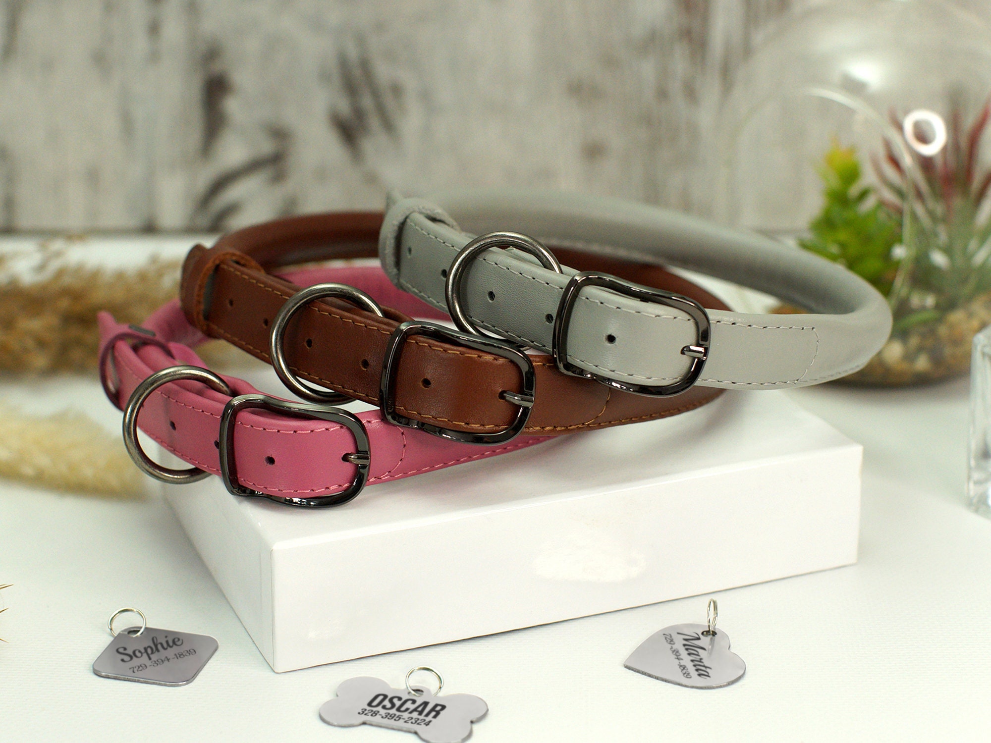 Custom Rolled Dog Collar With Name Tag, Personalized Rope Dog Collar ...