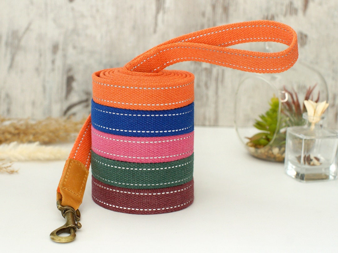 Cotton Webbing Dog Leash With ID Leather Tag, Night Safety Dog Leash ...