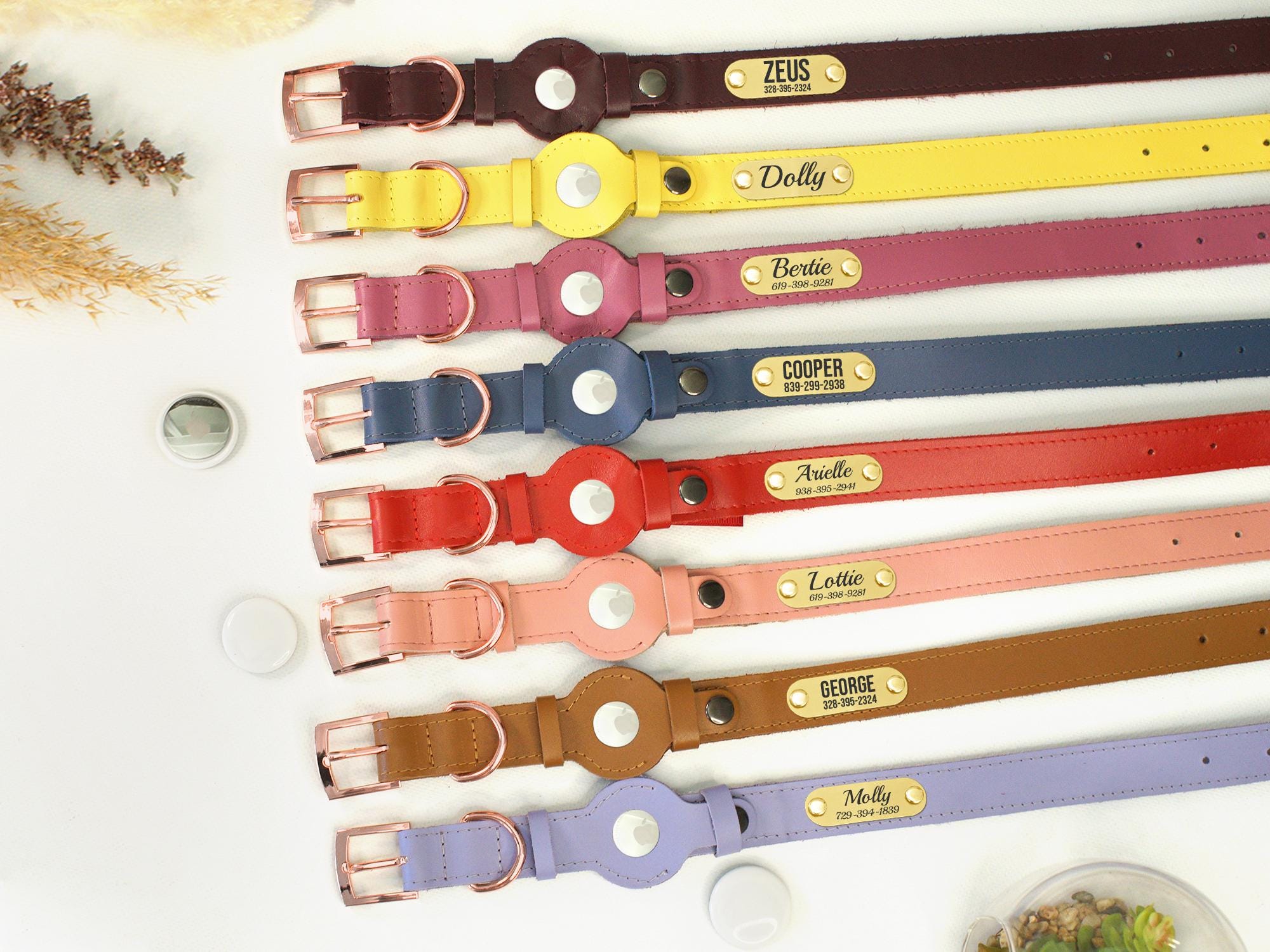 Personalized Leather Dog Collar With AirTag Holder, Apple AirTag Dog ...