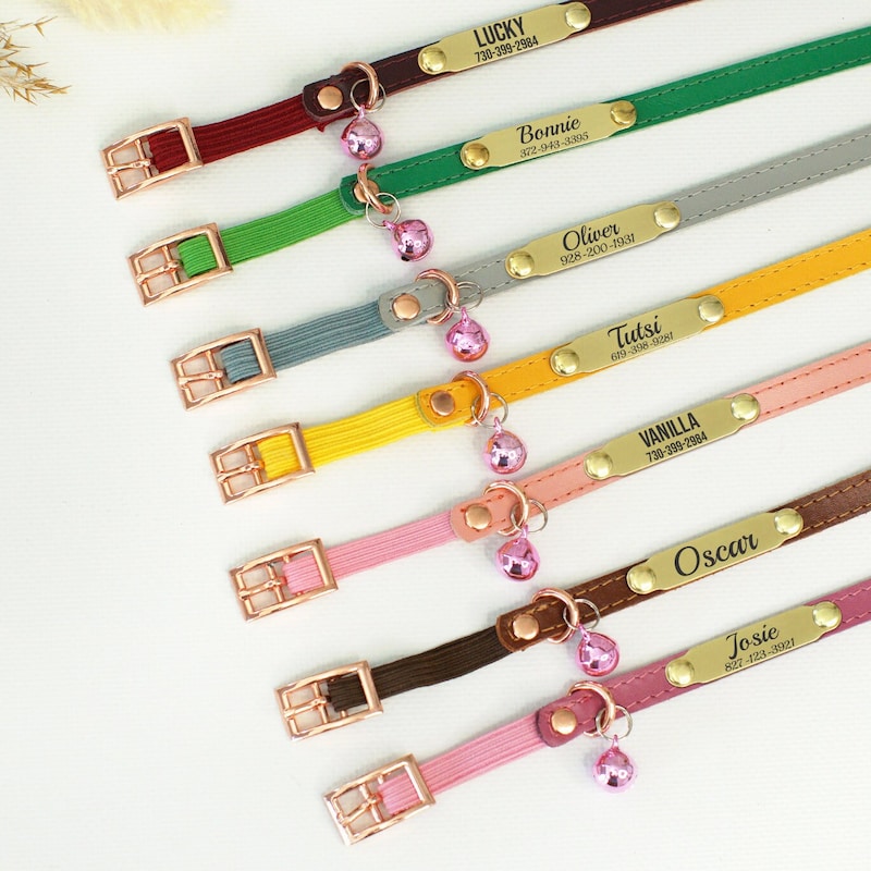 Custom Cat Collar - Etsy