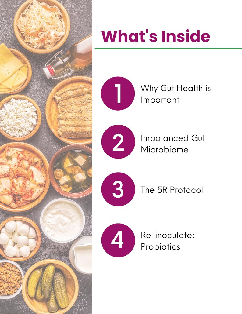 Your Ultimate Guide to Nutrition and Gut Health - Etsy