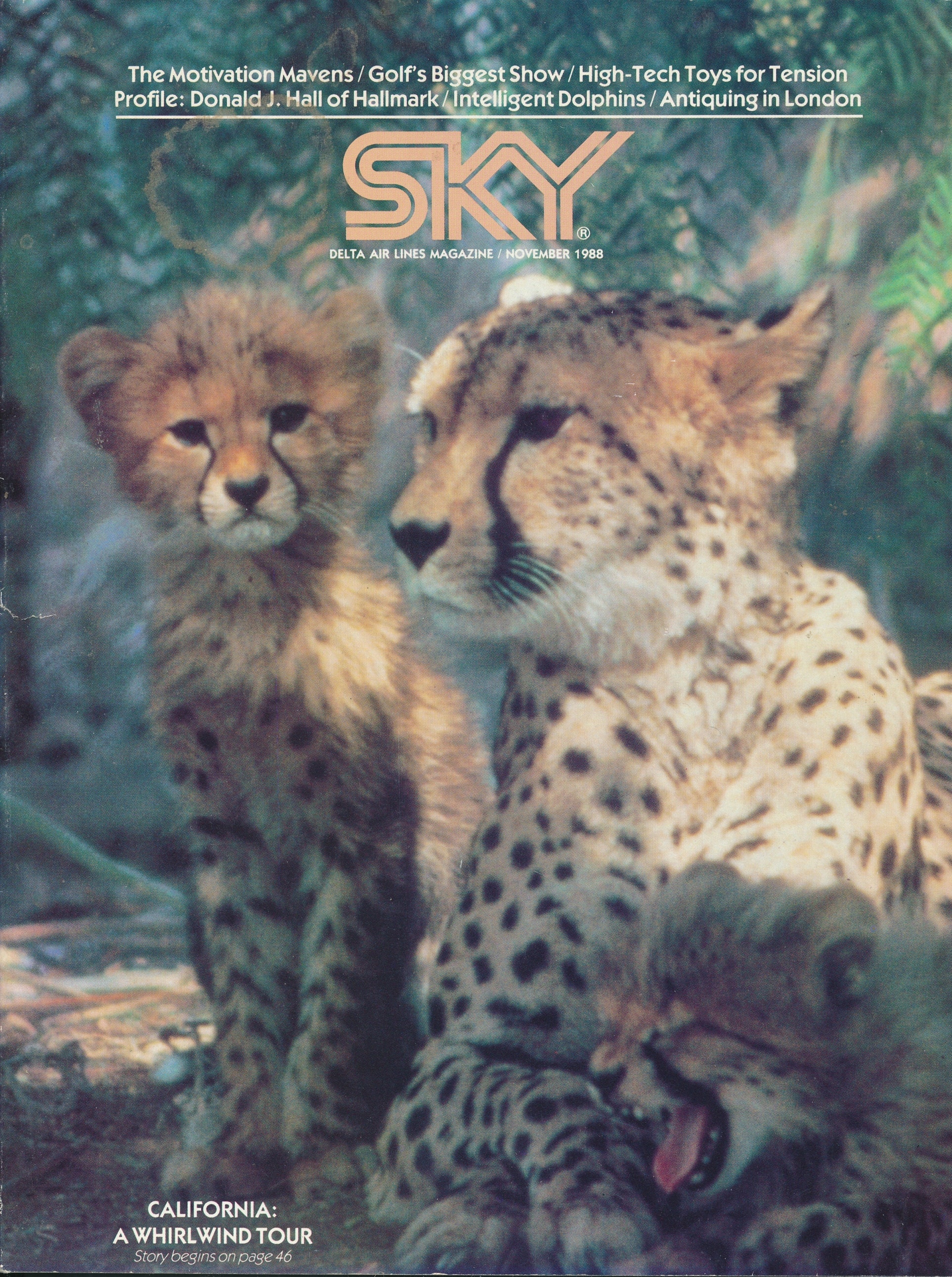 Delta Airlines Inflight Magazine (sky) Lot of 3: November 1988 ...