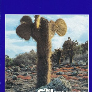 Ecuador Travel Brochures and Publications Lot of 6 Items From the 1990 ...