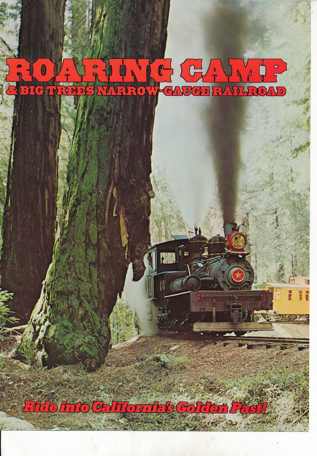 Roaring Camp and Big Trees and Santa Cruz, Big Trees & Pacific ...