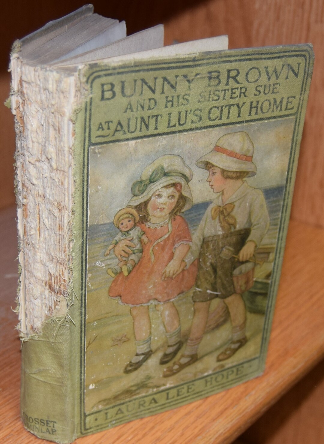 Bunny Brown and Her Sister Sue at Aunt Lu's City Home by Laura Lee Hope ...