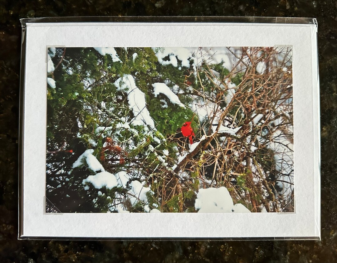 Vermont Notecards - Set of 4 Blank Photography Cards - Etsy