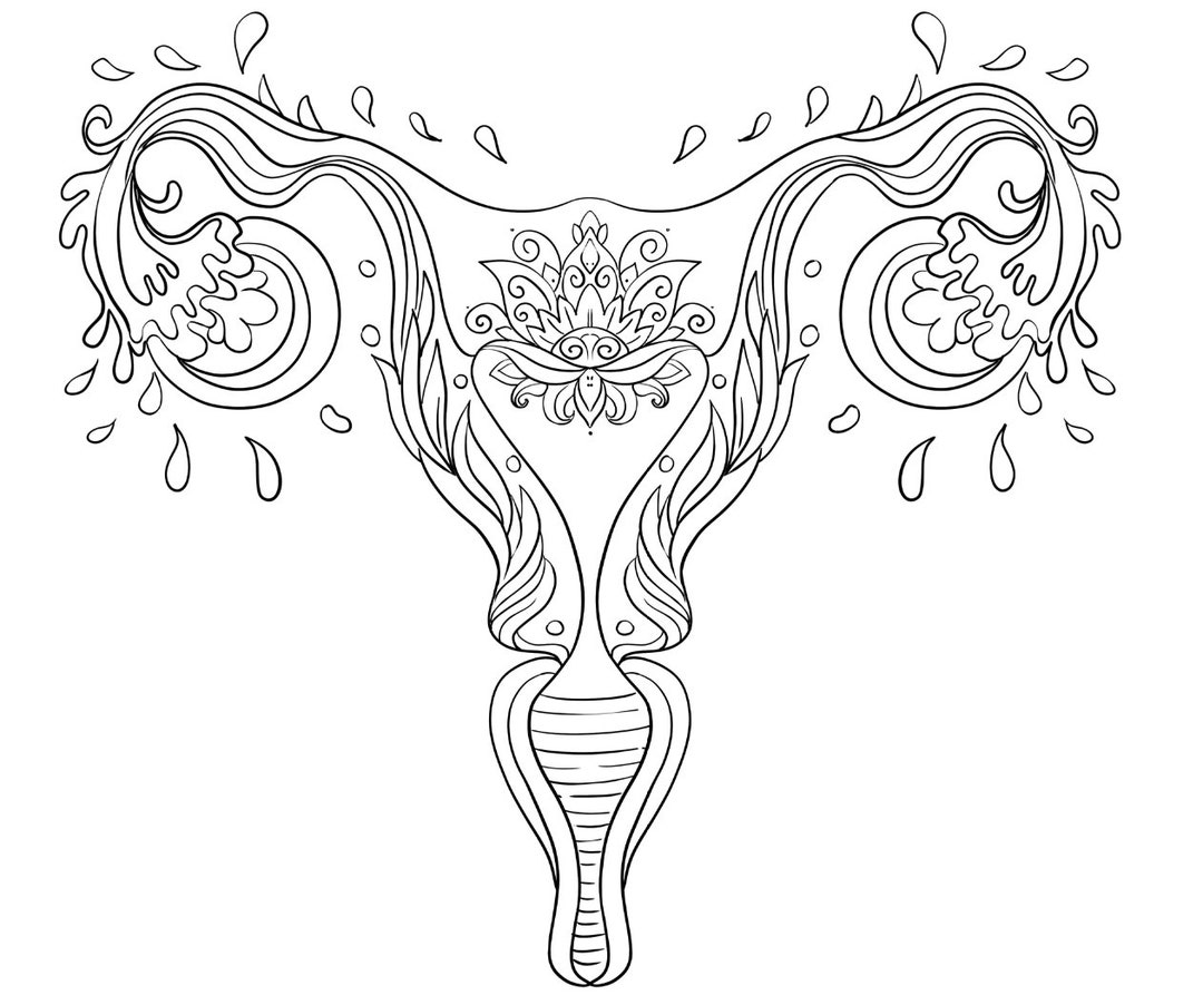 Coloring Page Uterus Digital Download I Adult Coloring Page I Printable ...