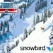 Snowbird Poster - Etsy