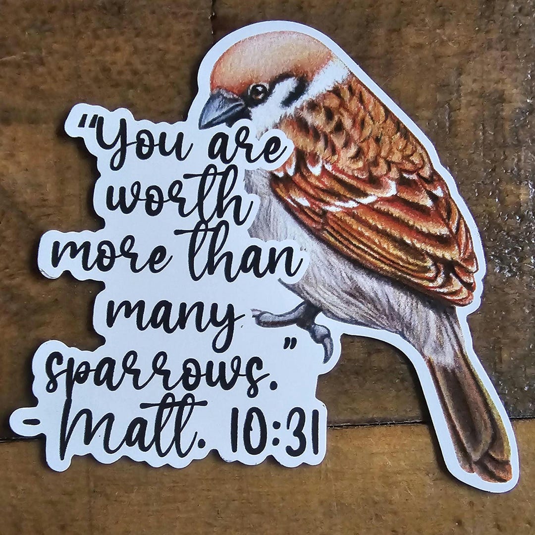 Jw Stickers, JW, Best Life Ever, JW Stickers, JW Youth, Pioneer Gift ...