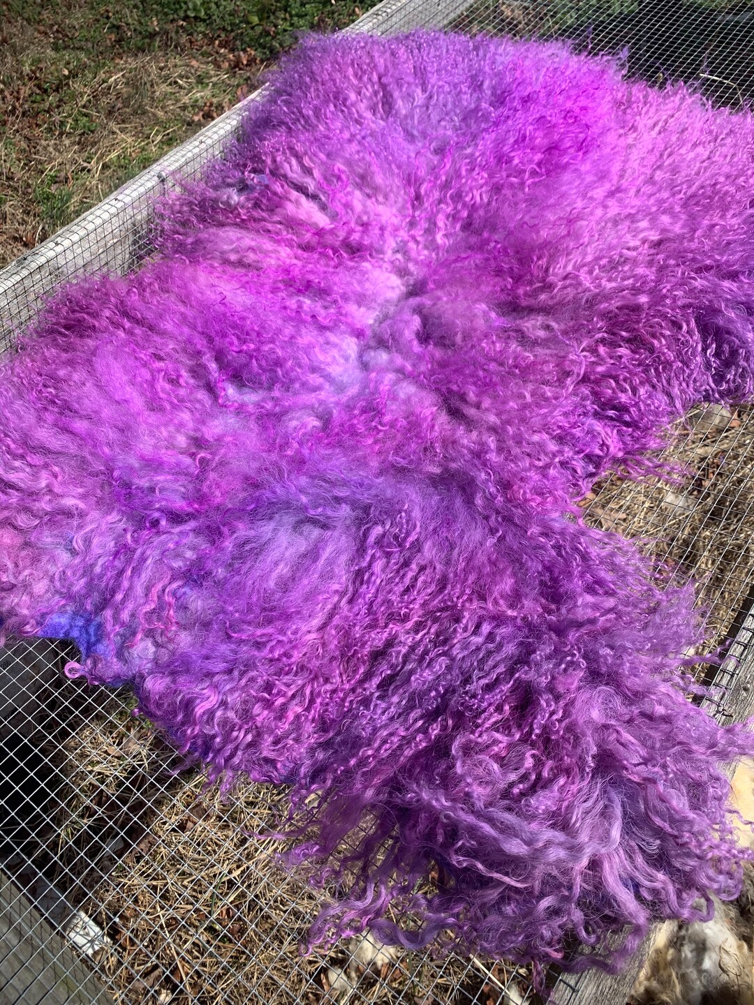 One of a Kind Wet Felted Wool Pelt 100% Lamb Valais Blacknose Wool Rug ...