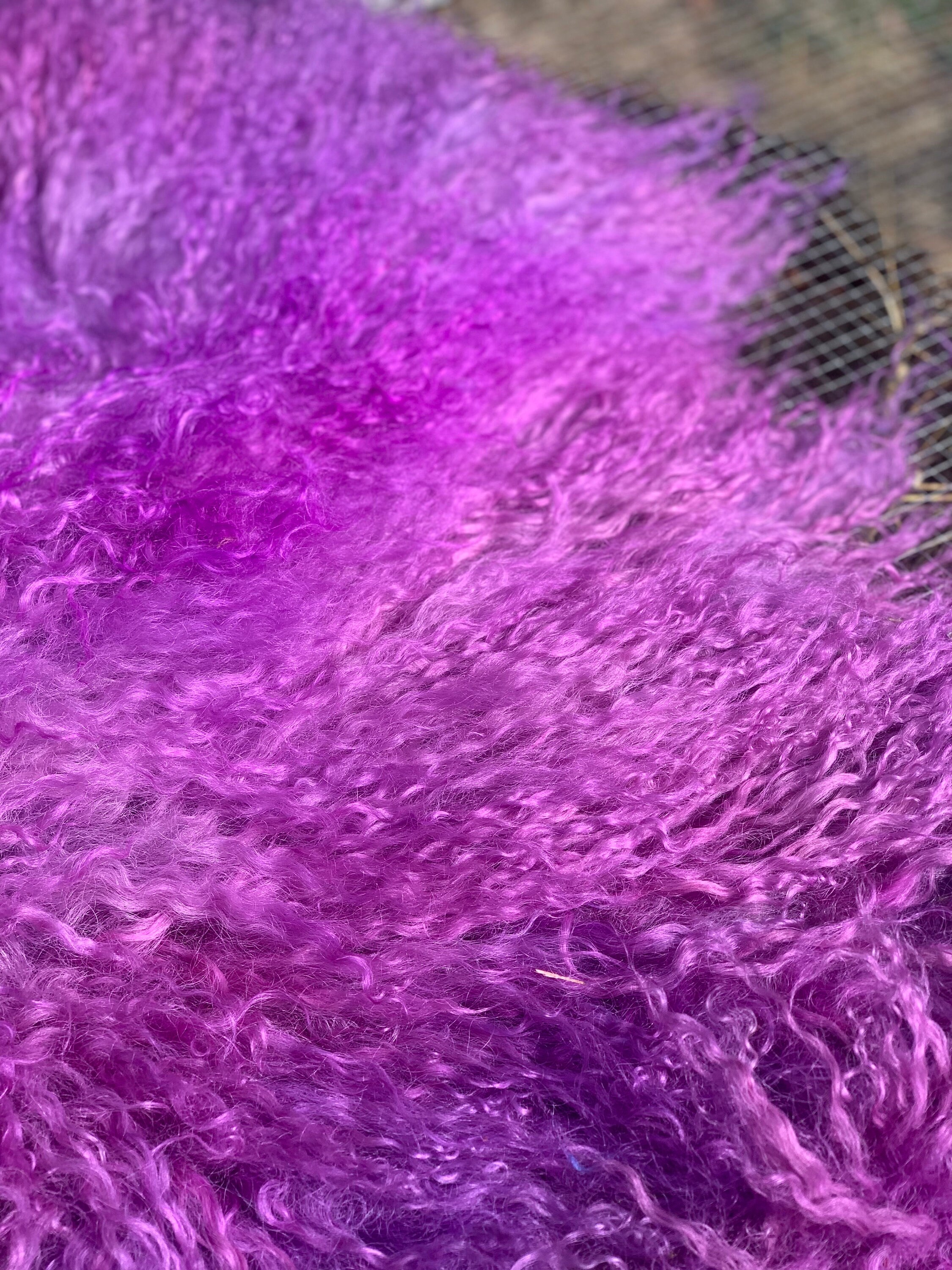 One of a Kind Wet Felted Wool Pelt 100% Lamb Valais Blacknose Wool Rug ...