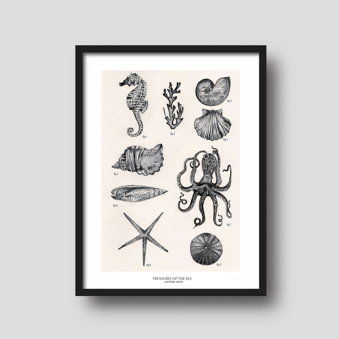 Etching Victorian Style Sea Creatures Black and White Pen and Ink Print ...