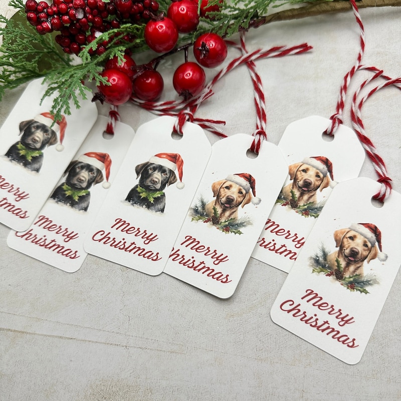 Christmas Lab Graphic - Etsy UK