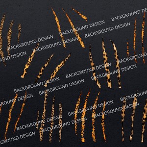 Leopard Claw Png, Scratch Mark, Claw Marks, Animal Scratches, Cheetah ...