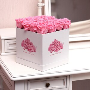 Pink Retro Logo, Premade Logo Design, Beauty Logo, Boho Logo, Bakery ...