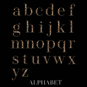 Leopard Pattern Alphabet Png Clip Art, Animal Skin Letters, Gold Chrome ...