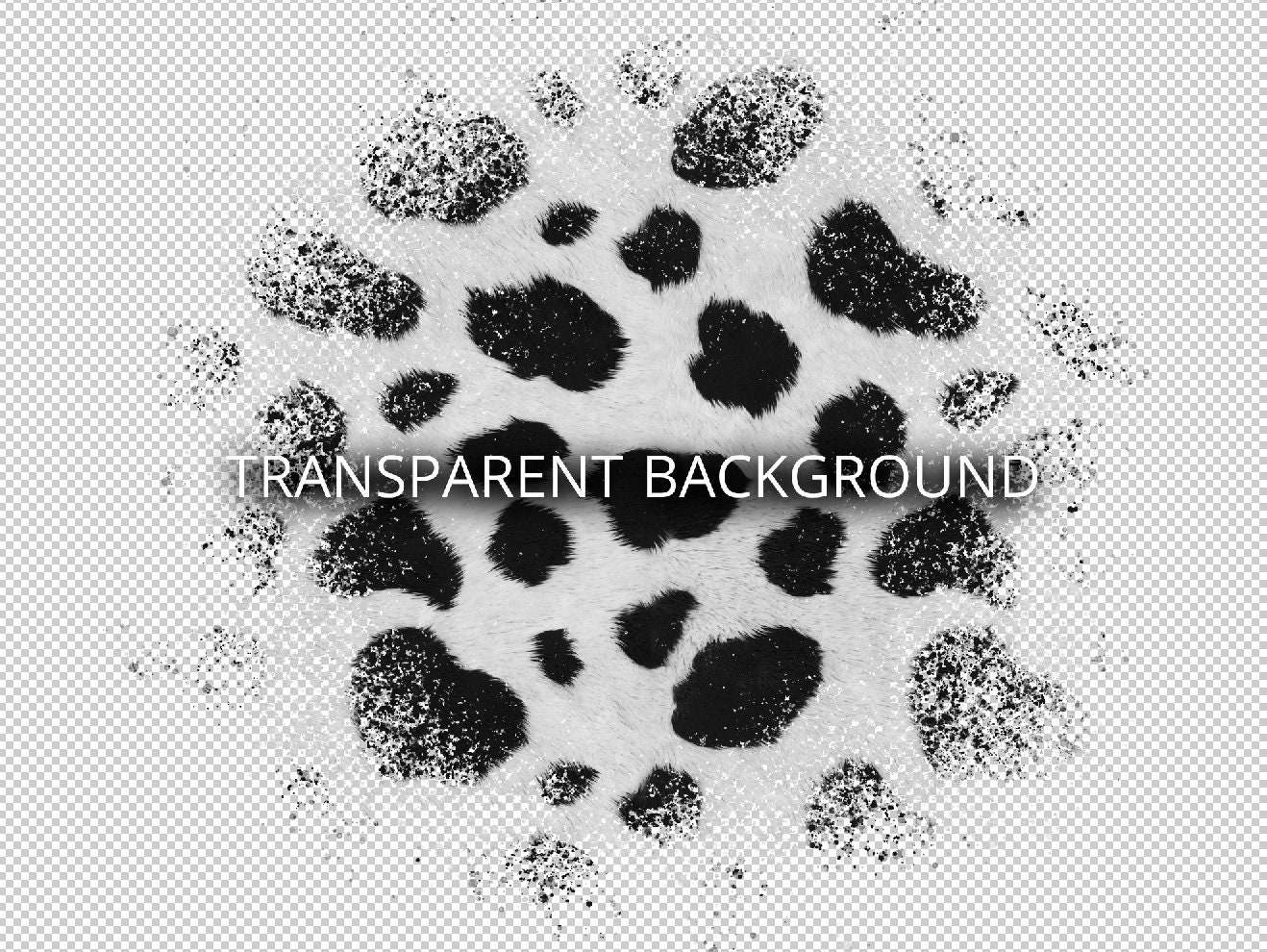 Cowhide Background Png Distressed Cow Print Frame Png Animal - Etsy