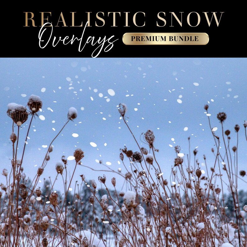 Realistic Snow Overlay PNG Clip Art, Falling Snow Overlay, Snow Filter ...