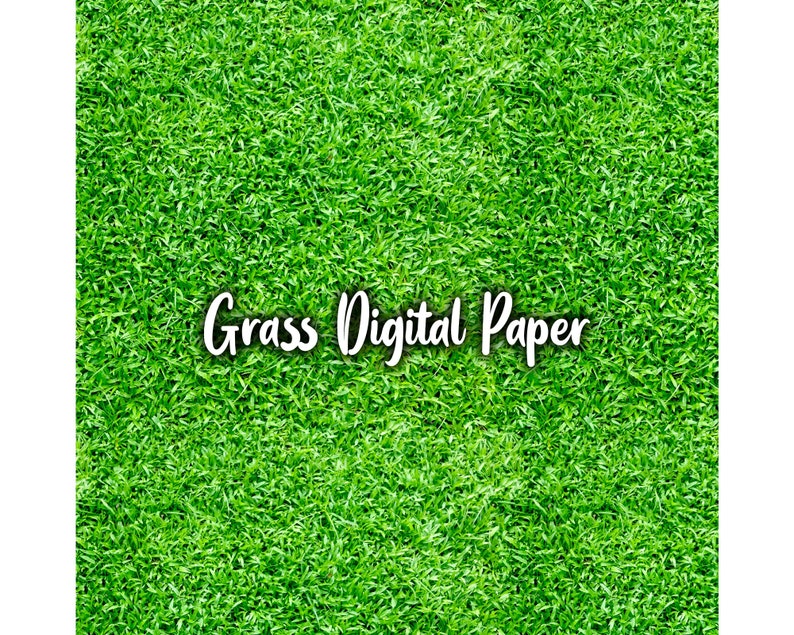 Green Grass Texture Digital Paper, Nature Clipart (12x12 Inch, 300 DPI ...