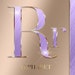 Purple and Gold Alphabet PNG, Purple Letters Png, Chrome Alphabet ...