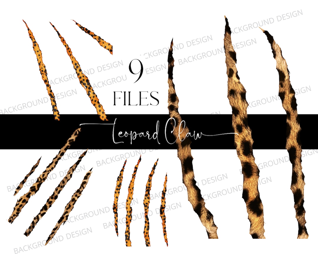 Leopard Claw Png, Scratch Mark, Claw Marks, Animal Scratches, Cheetah ...