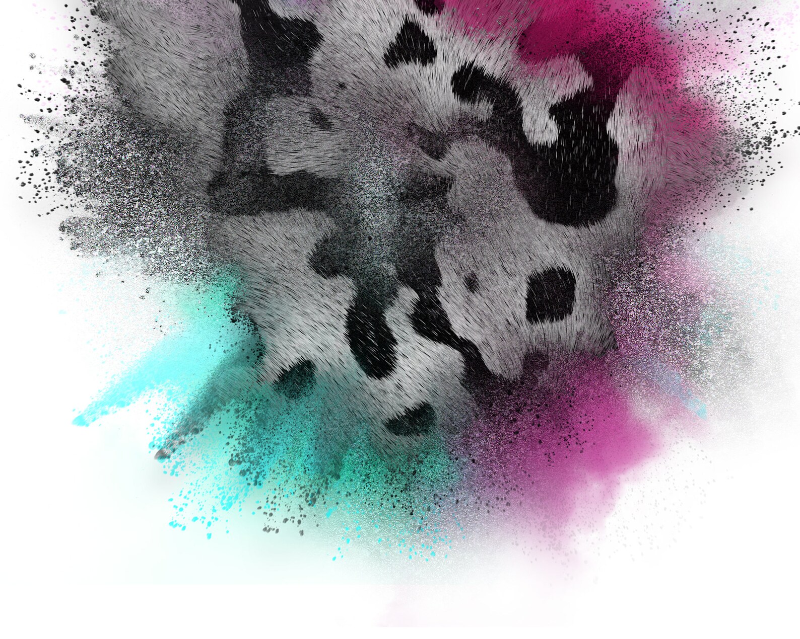 Distressed Cow Print Explosion of Powder Cow Skin Texture - Etsy