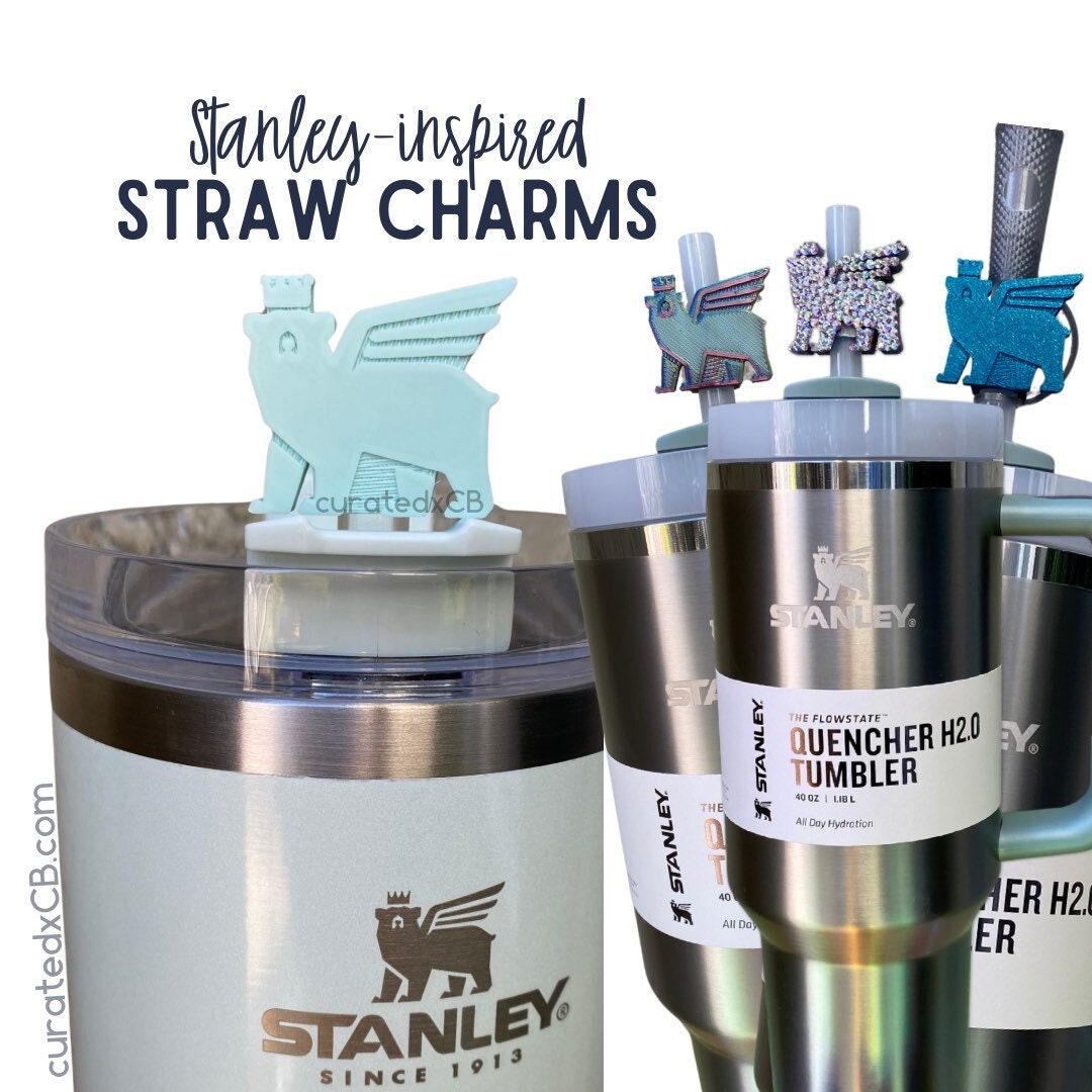 Stanley Tumbler Inspired Straw Charms - Etsy