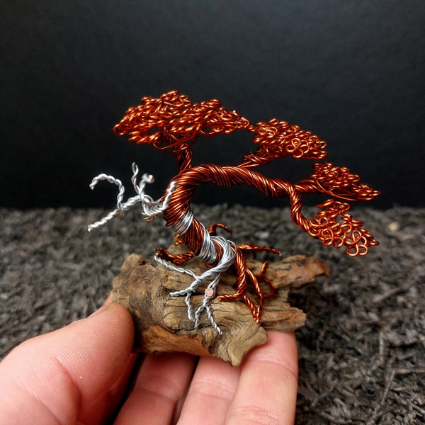 Bonsai Tree Art - Etsy