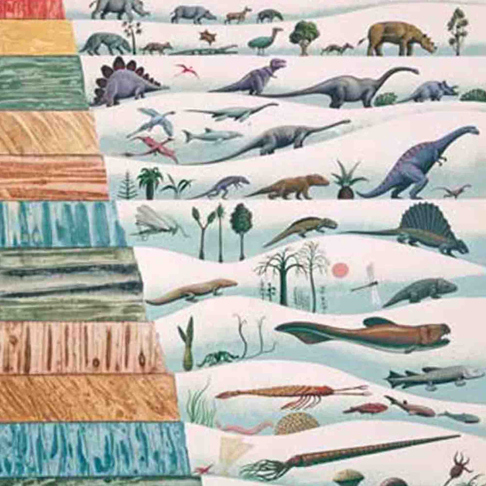 Greeting Card Evolution in Geologic Eras - Etsy