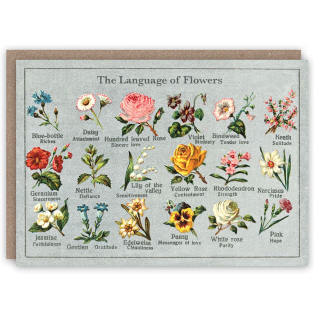 Greeting Card Language of Flowers - Etsy