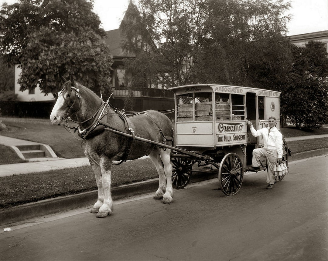 1935 Horse Drawn Milk Delivery DAIRY WAGON Photo - Etsy