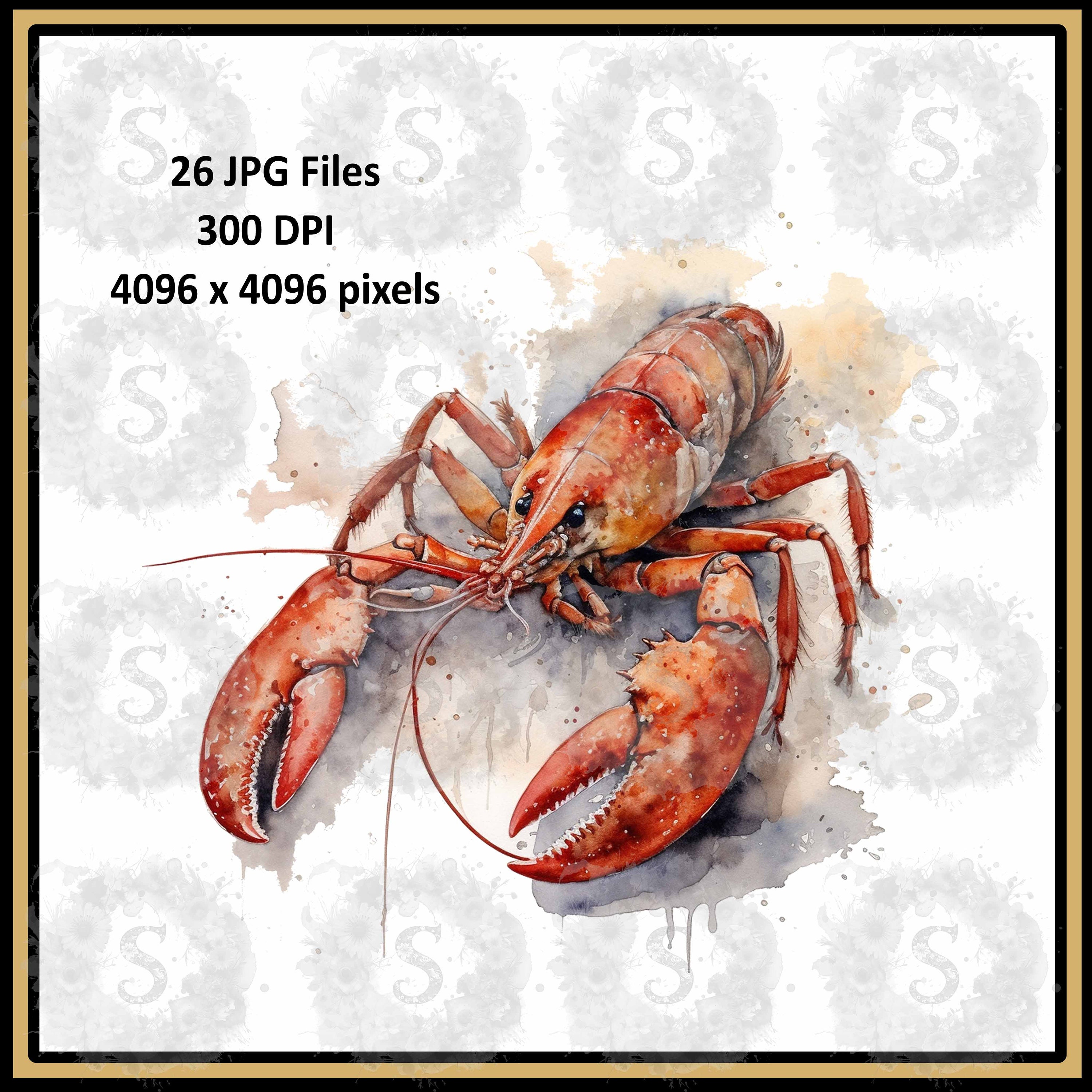 Watercolour Splash Lobster Clipart - 26 JPG Clipart Bundle, Lobster ...