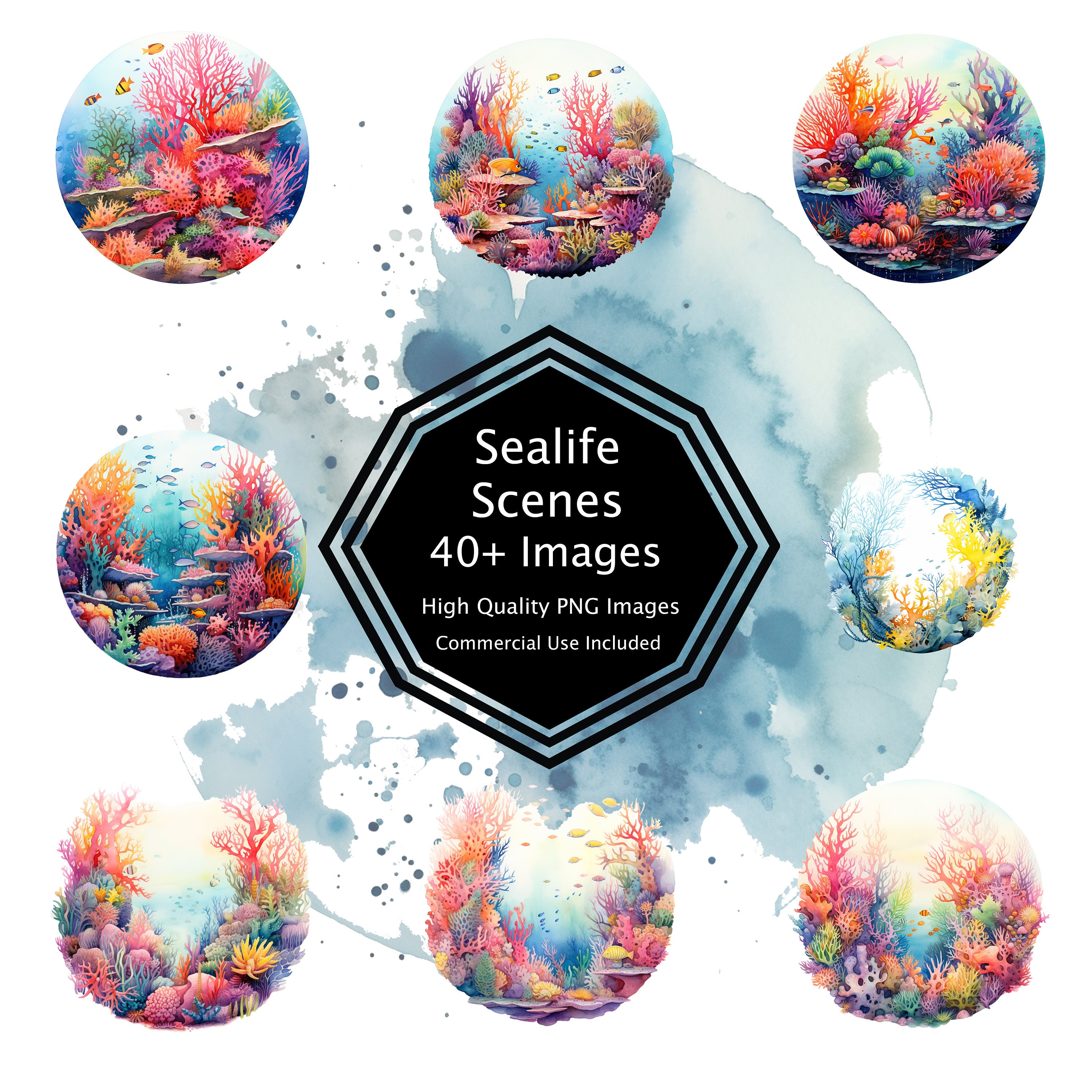 Sealife Images Clipart Over 40 PNG Files Transparent - Etsy