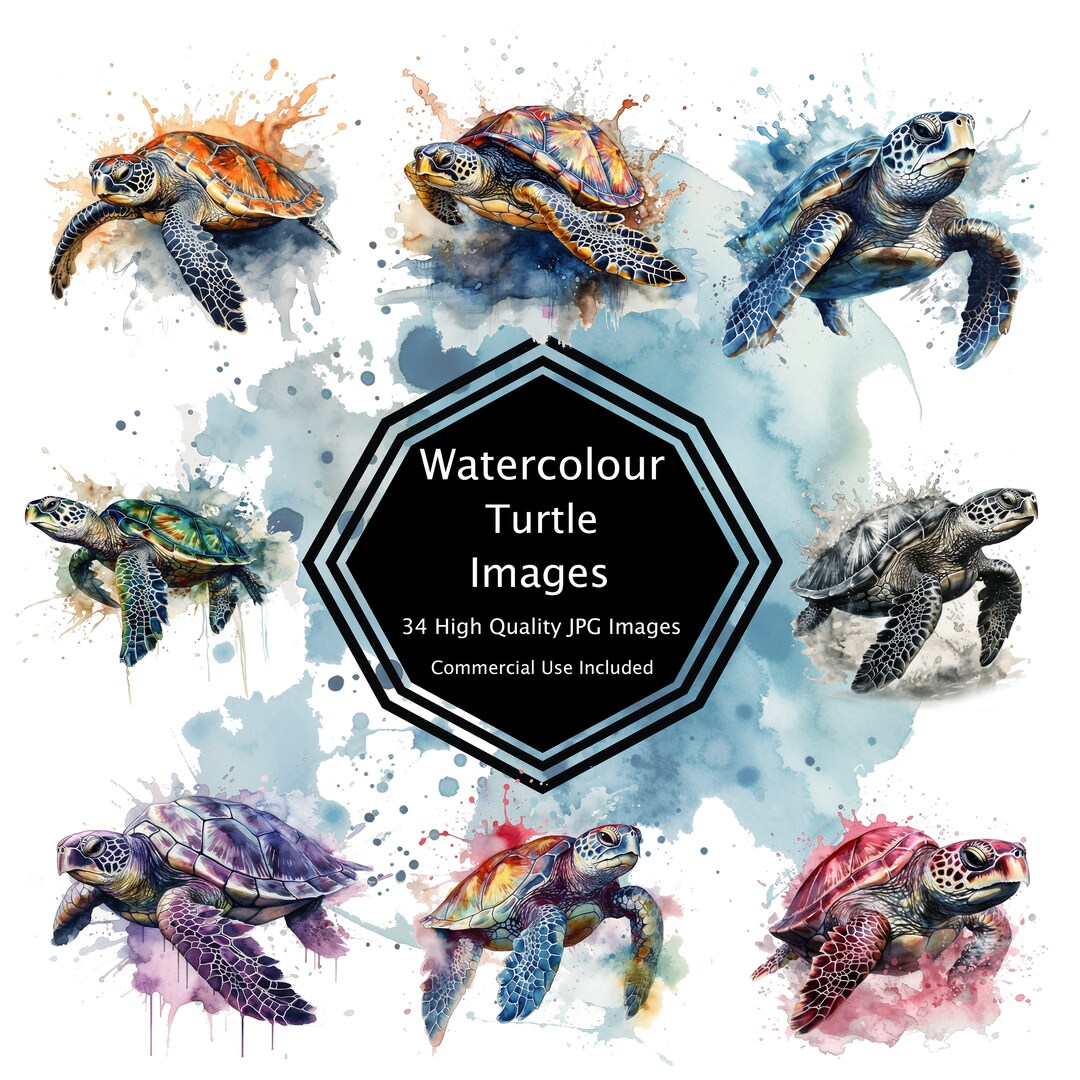 Watercolour Splash Turtle Clipart - 34 JPG Clipart Bundle, Turtle ...