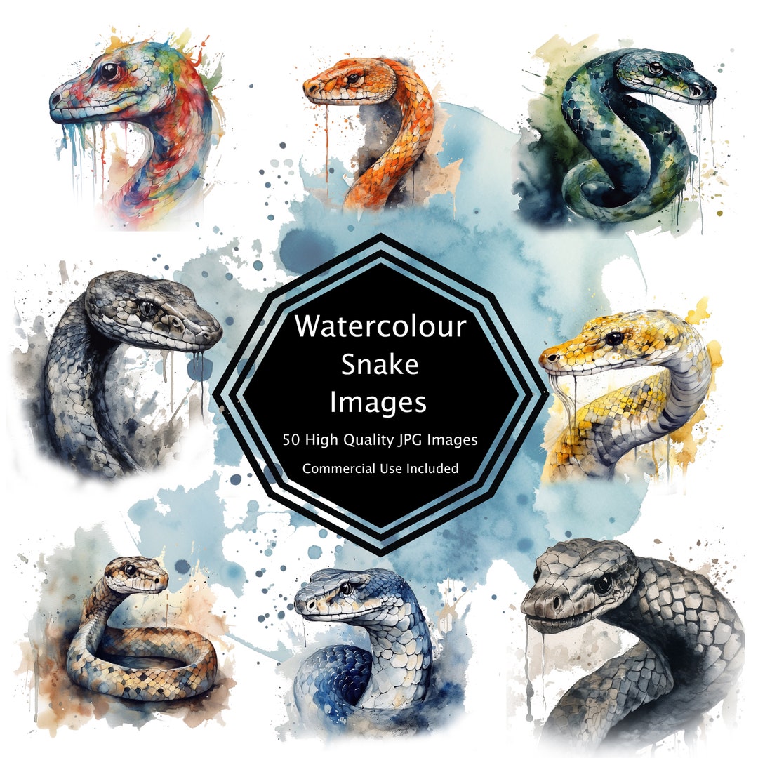 Watercolour Splash Snake Clipart - 50 JPG Clipart Bundle, Snake Heads ...