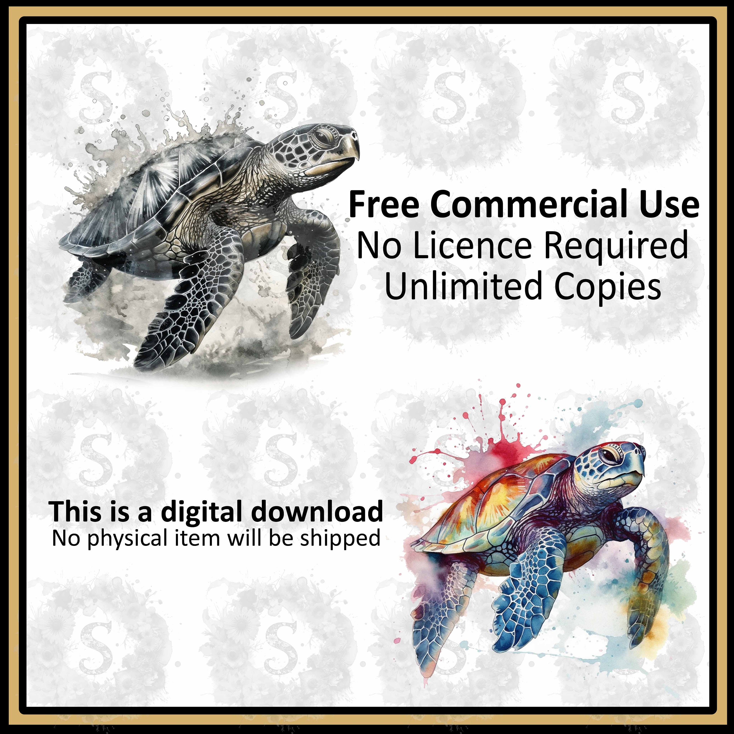 Watercolour Splash Turtle Clipart 34 JPG Clipart Bundle - Etsy