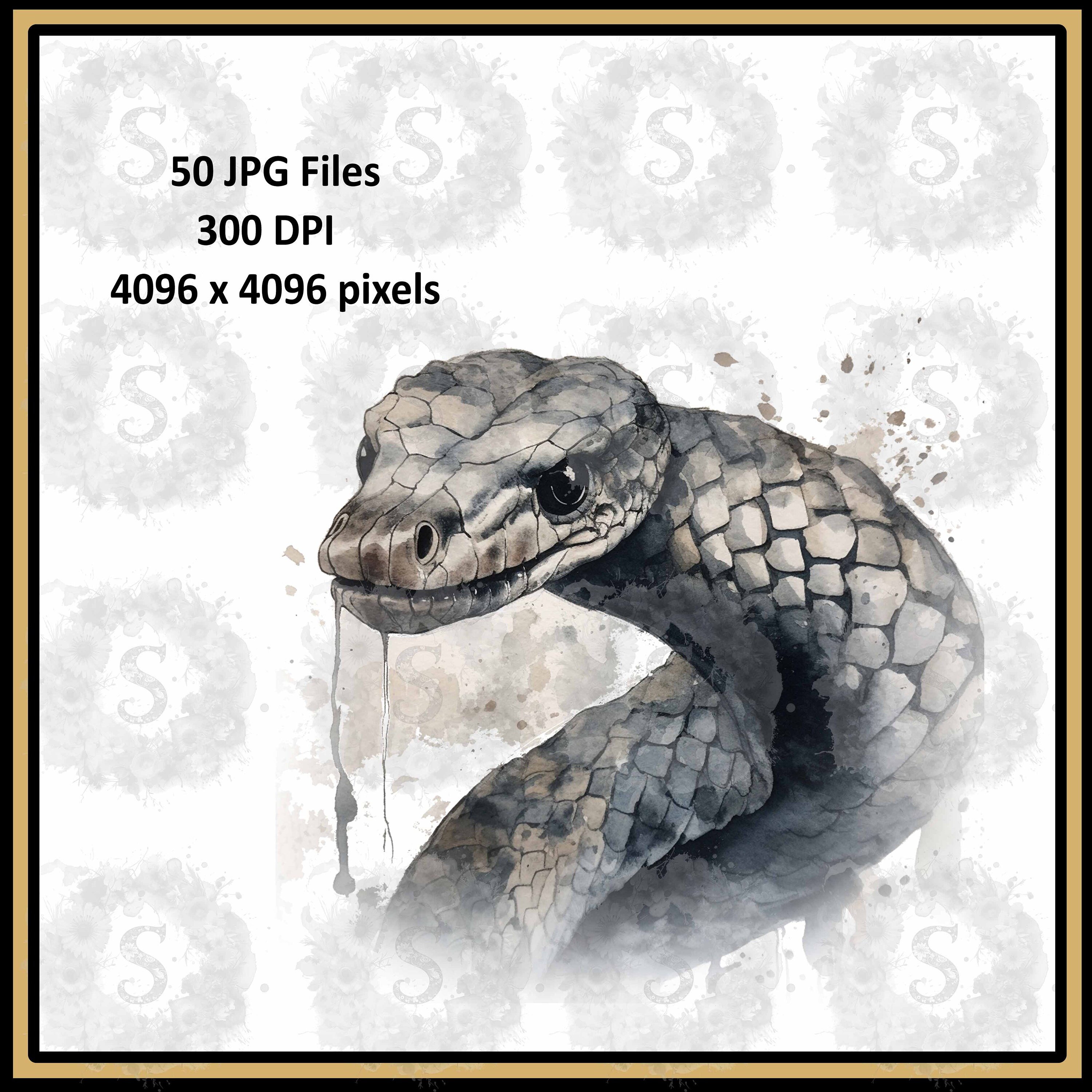 Watercolour Splash Snake Clipart - 50 JPG Clipart Bundle, Snake Heads ...