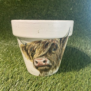 Highland Cow Plant Pot Highland Cow Gift. 15cm Terracotta - Etsy