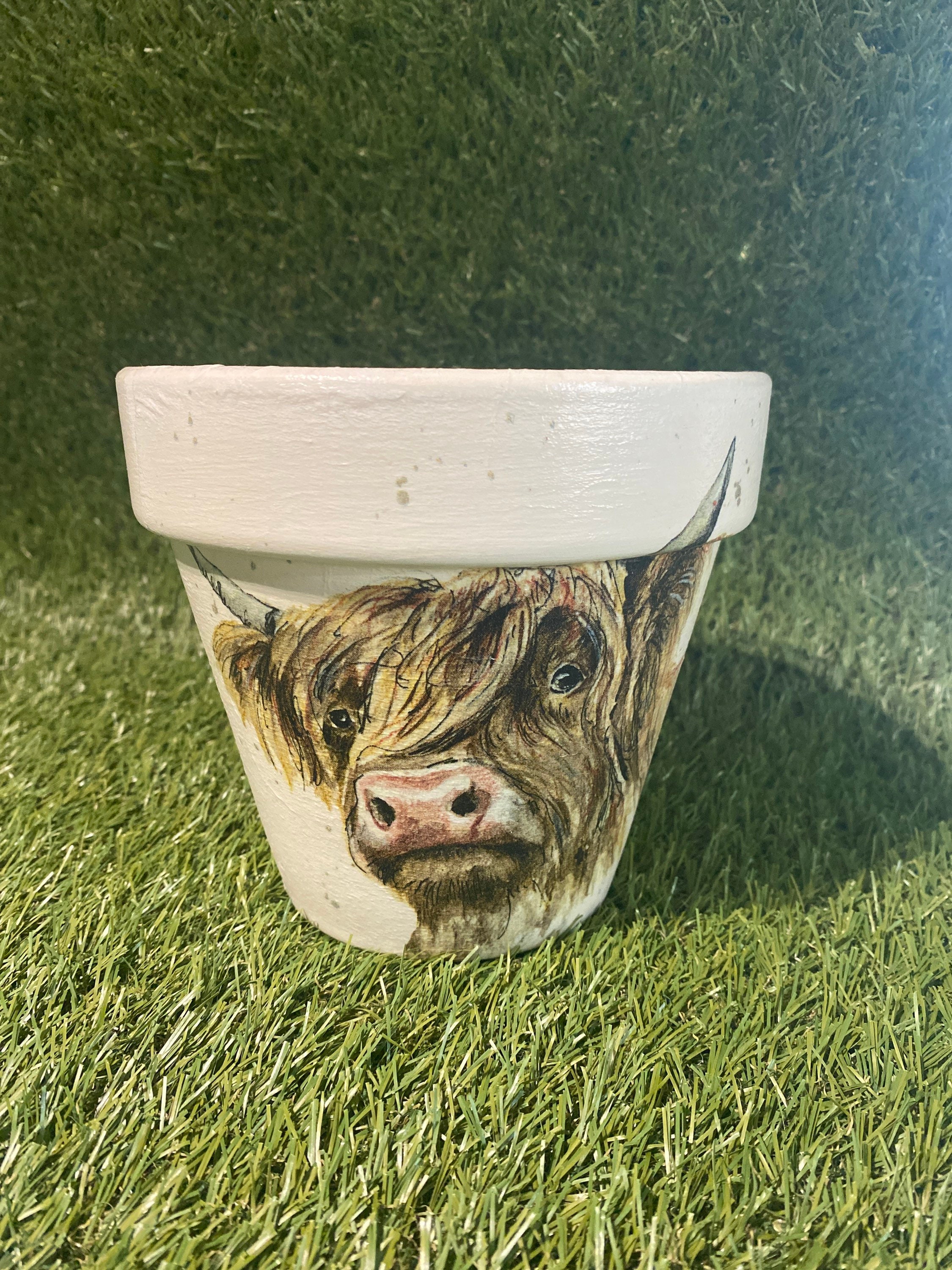 Highland Cow Plant Pot Highland Cow Gift. 15cm Terracotta - Etsy