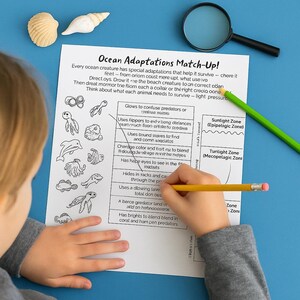 Ocean Adaptations Match-up – Ocean Zones Science & Reading Activity ...