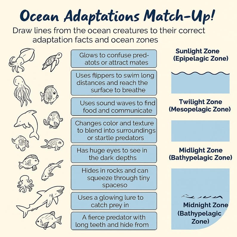 Ocean Adaptations Match-up – Ocean Zones Science & Reading Activity ...