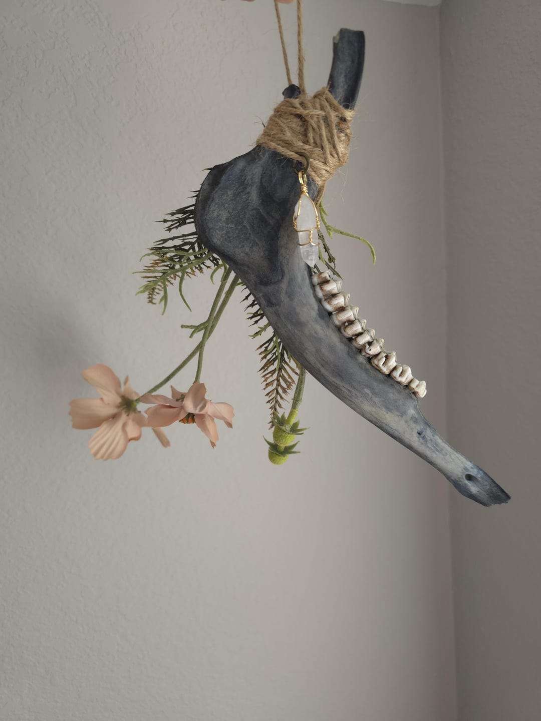 Mulberry Dream Deer Jaw Bone Hanger - Etsy