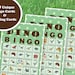40 Dino Bingo Game Prefilled Cards, PDF Printable, Instant Download ...