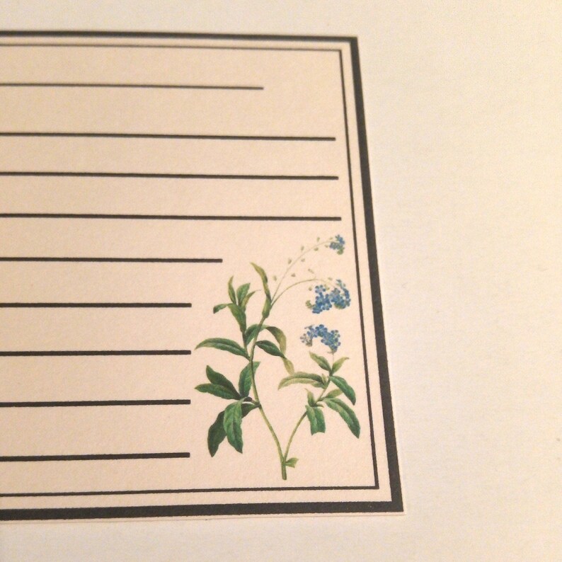 Forget-me-not Recipe Cards | 3x5" | Set of 25 | Kitchen Gift | Shower ...