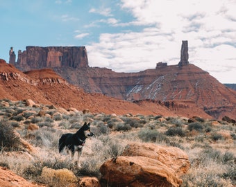 Antique Print of a Desert Mirage 1895 Chromolithograph - Etsy