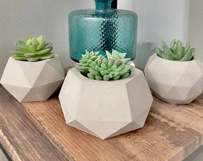 Modern Geometric Sphere Planter | Urban-style Industrial Succulent ...