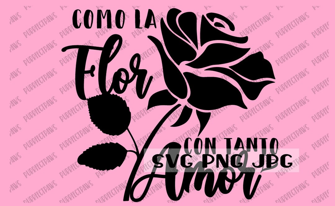 Como La Flor Con Tanto Amor SVG, Spanish, Rose, Digital Image, Instant ...