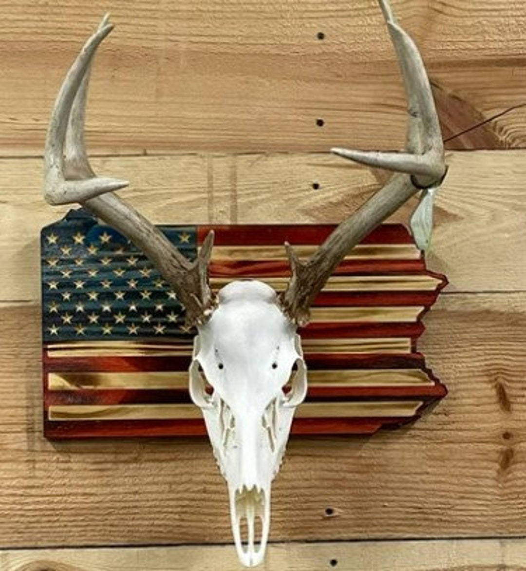 Pennsylvania European Deer Mount Plaque - Personalized - Any State - Etsy